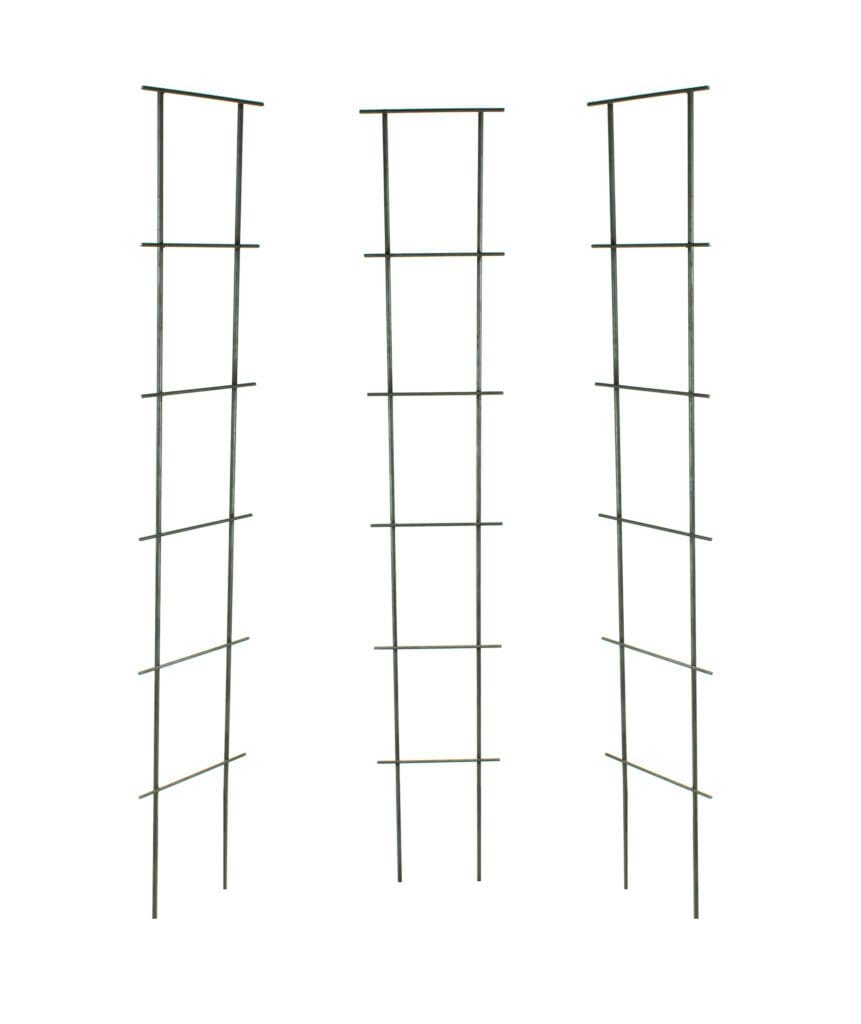 Set of 3 Large Steel Trellises. Garden Plant Vine Trellis. Lattice ...